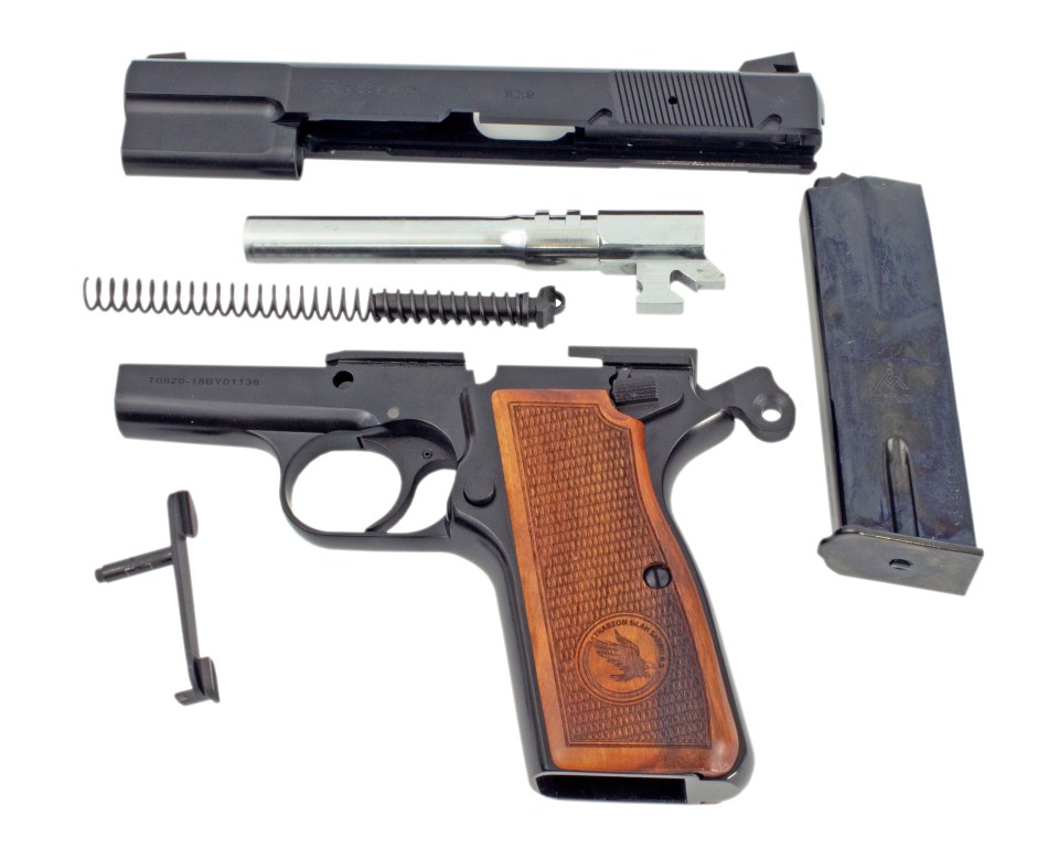Tisas Regent BR-9 — Keeping the Hi Power Alive | David Freeman